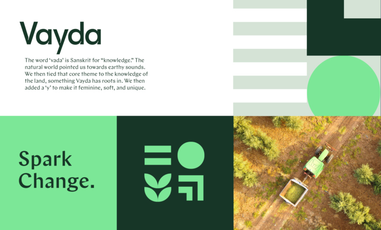 Vayda | Regenerative Farming | Branding Agency