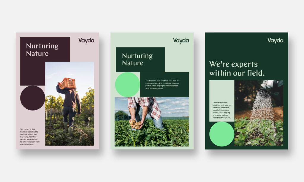 Vayda | Regenerative Farming | Branding Agency