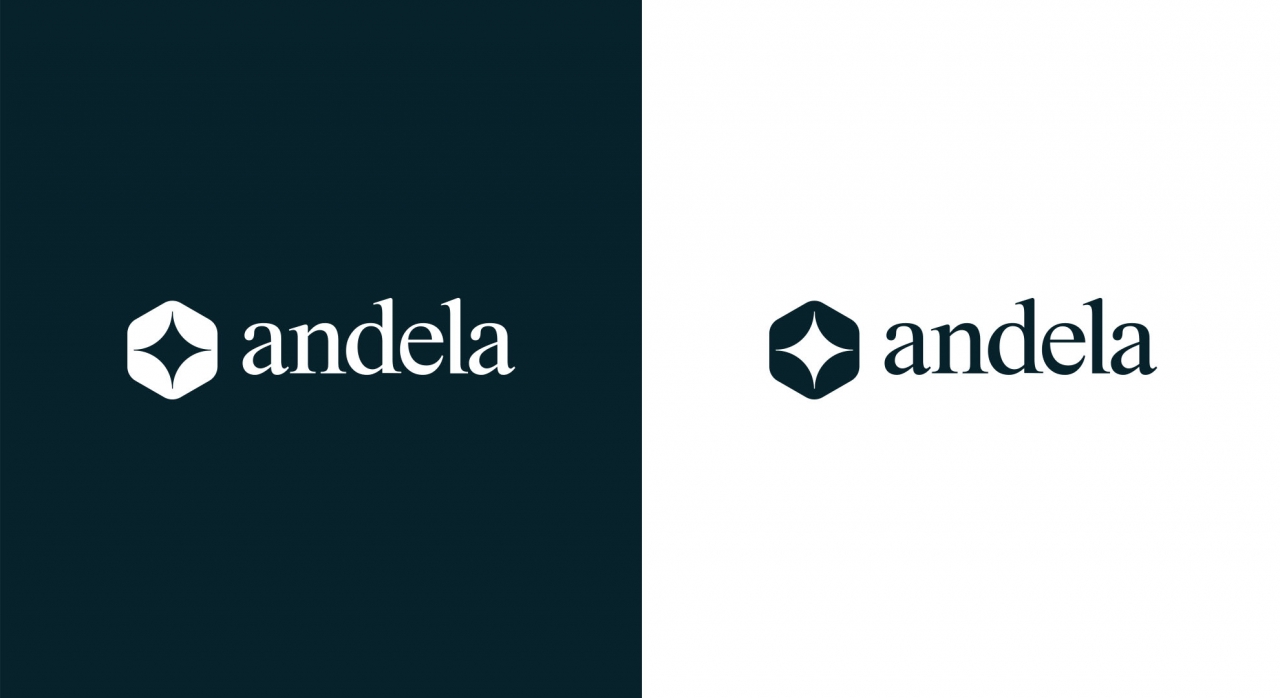 Andela | Branding for Tech | Ideas Worth Rallying Around®
