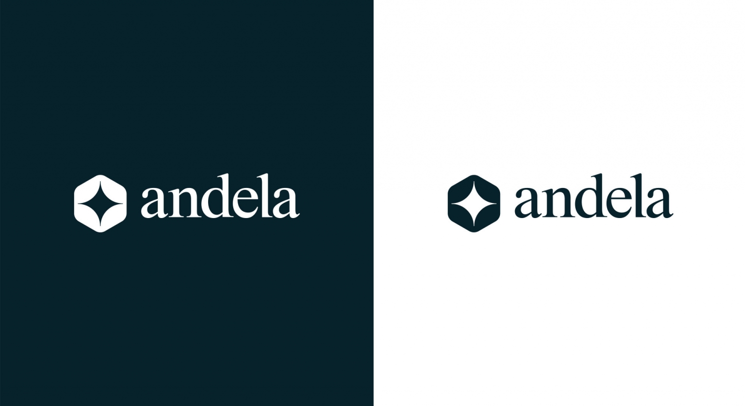 Andela | Branding for Tech | Ideas Worth Rallying Around®