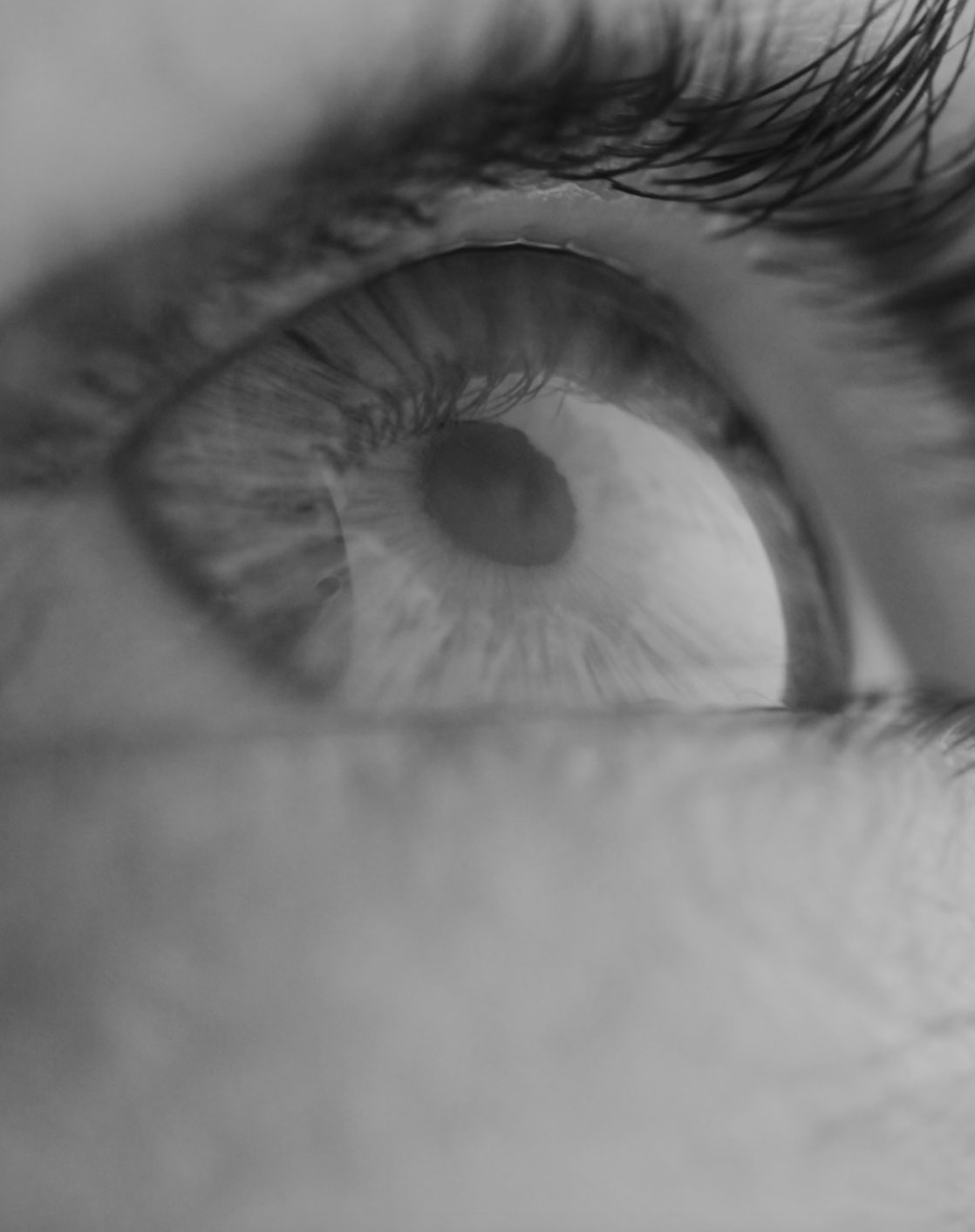 How vision, culture, and brand alignment shape success | Motto®