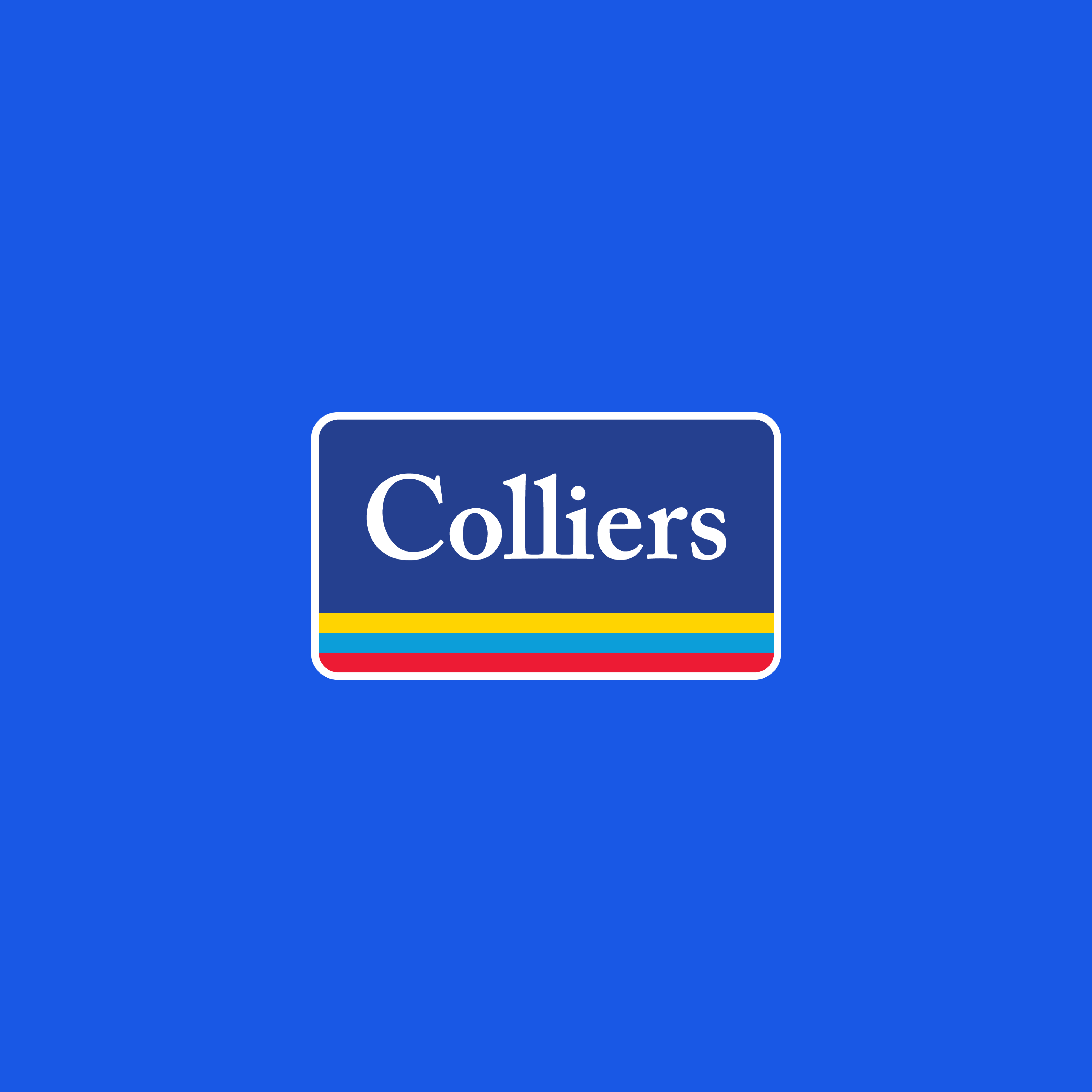 Colliers | Global Brand Campaign | Motto® Branding Agency