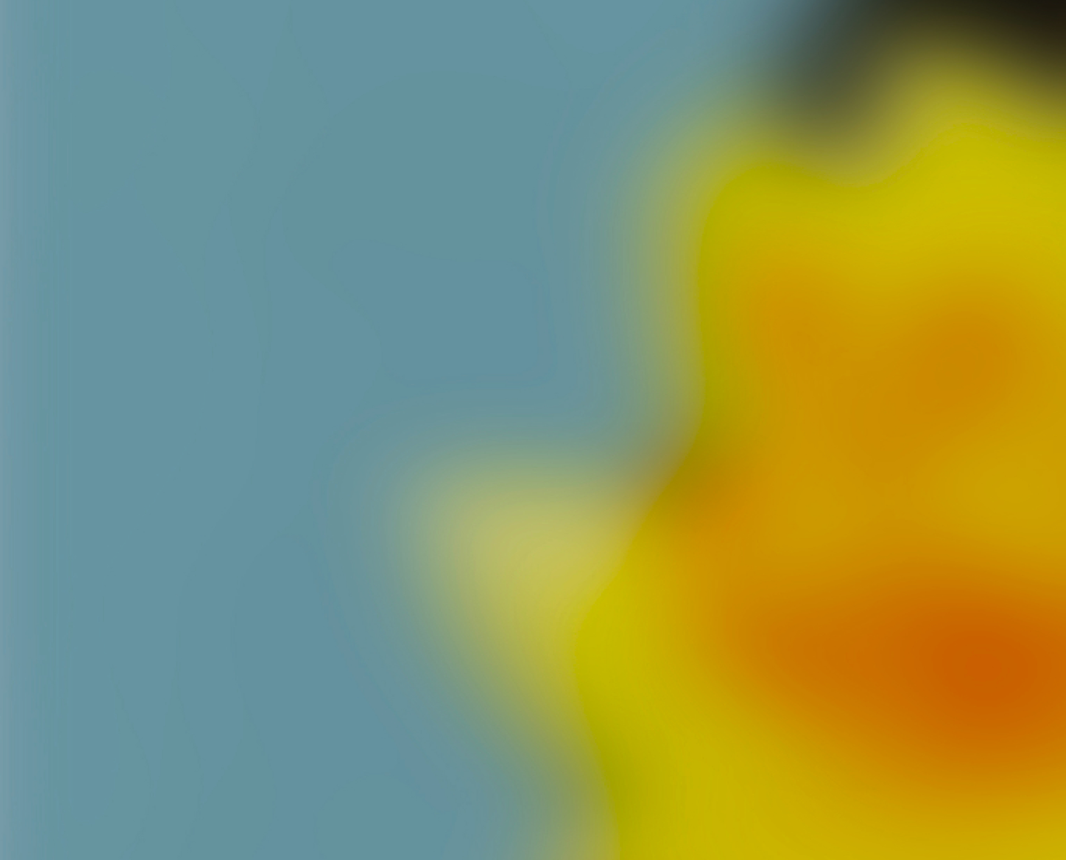 Motto® | Branding Agency | NYC & TX | Ideas Worth Rallying Around®